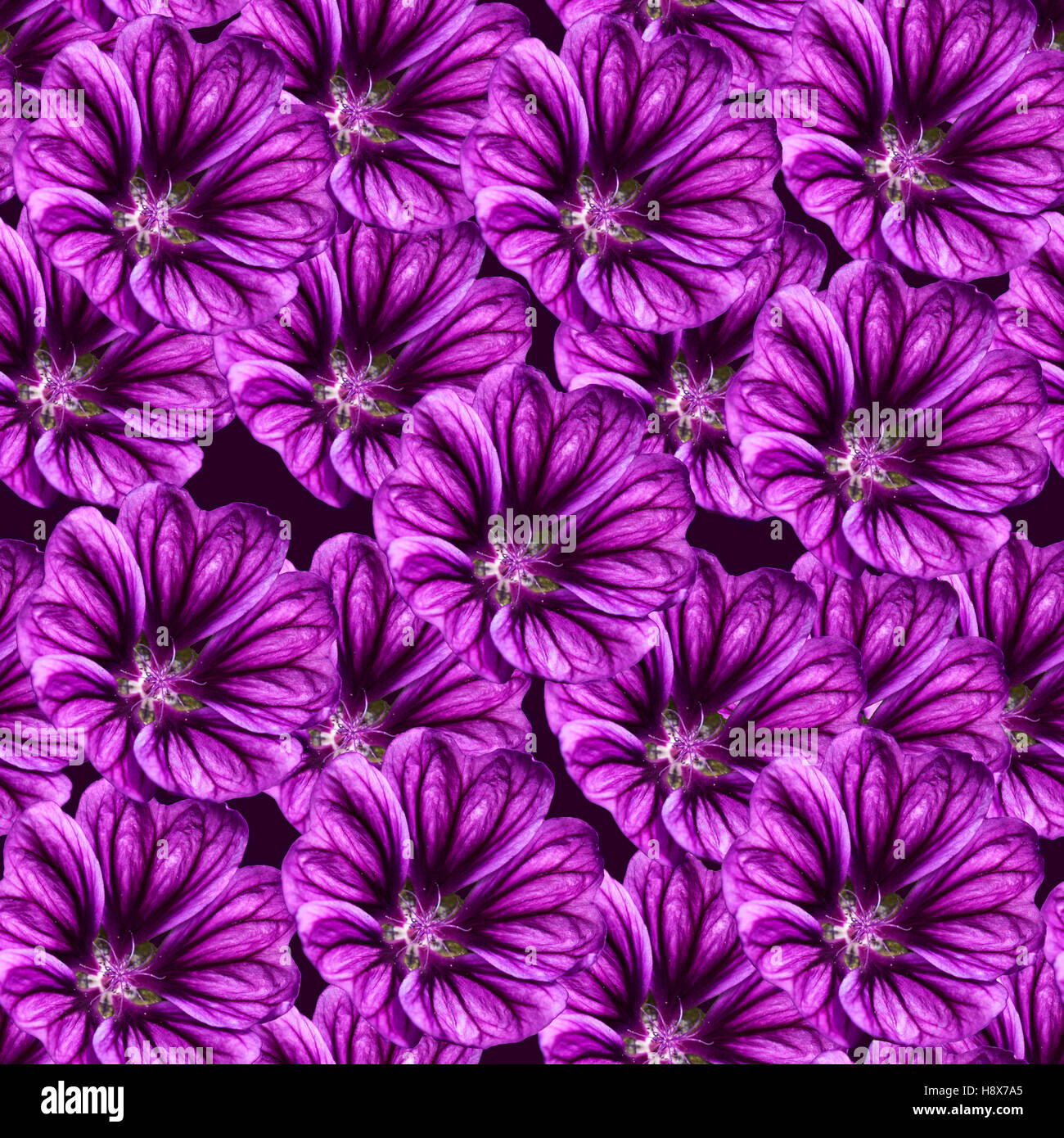 Papier peint à motifs fleurs Banque de photographies et d’images à ...