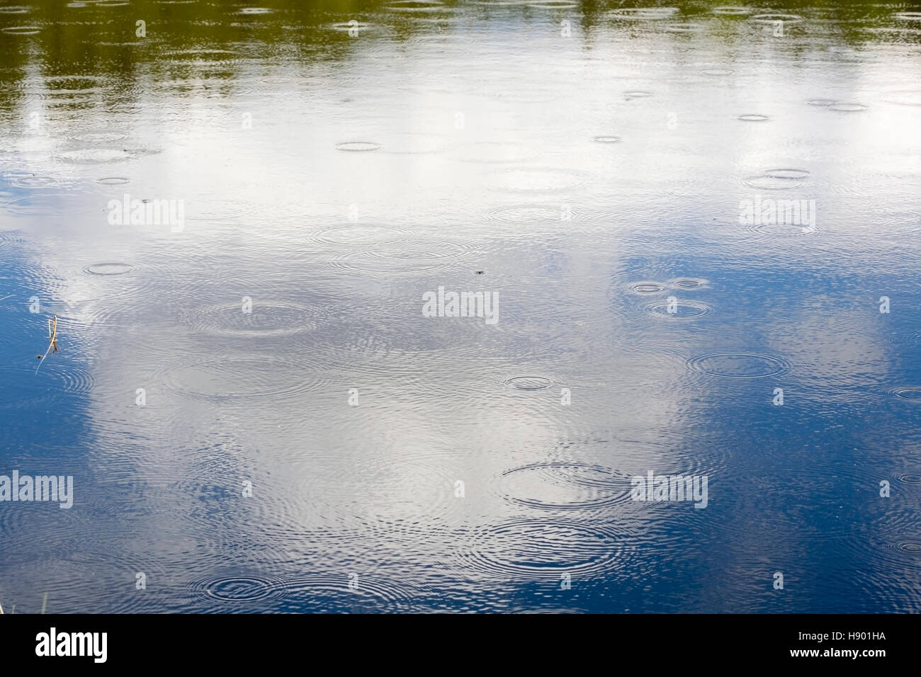 Pluie qui tombe Banque de photographies et d’images à haute résolution ...