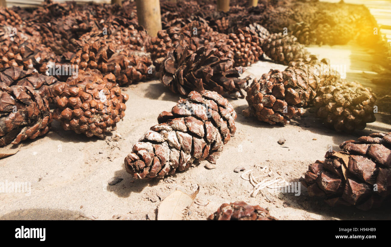 Pin sec Banque de photographies et d’images à haute résolution - Alamy