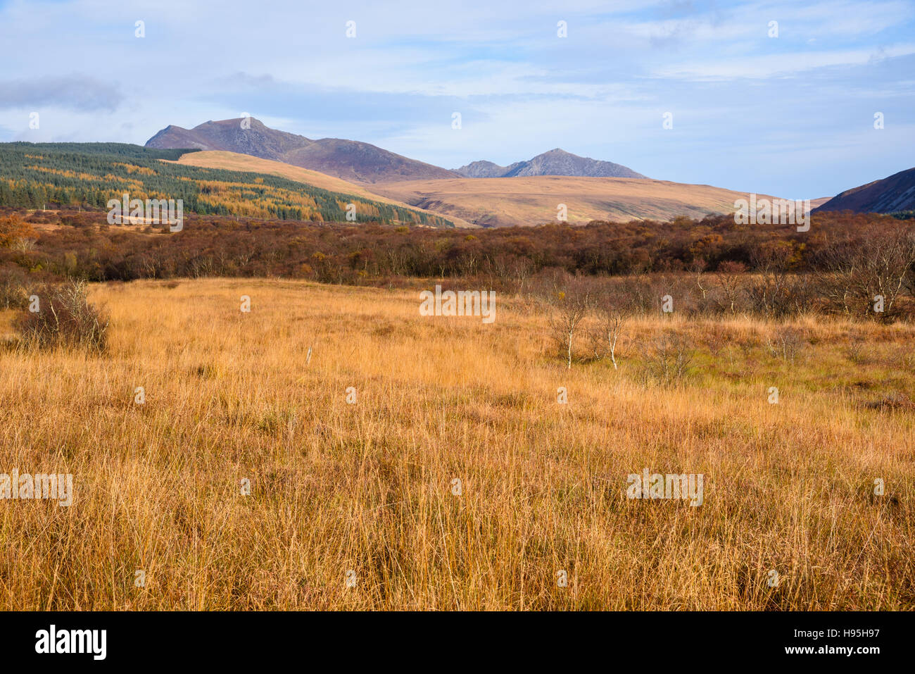 Cercles de pierres machrie moor arran Banque de photographies et d ...