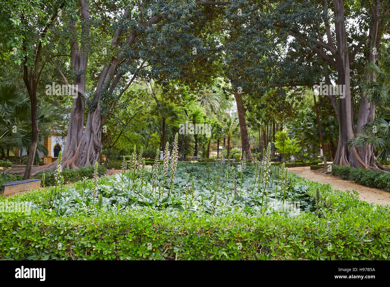 Jardins du parc Maria Luisa de Séville en Andalousie Espagne Photo ...