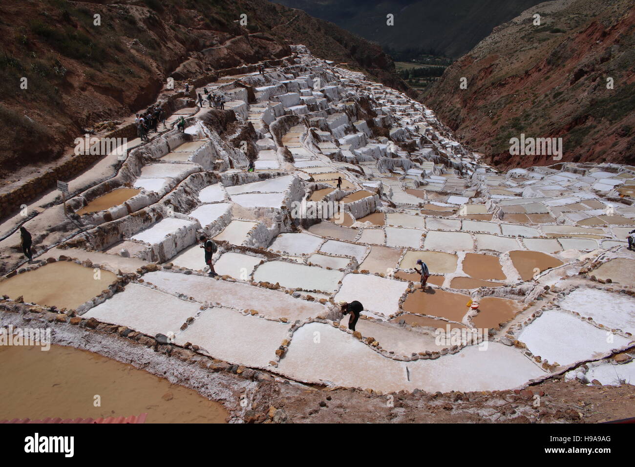 Sel de cusco Banque de photographies et d’images à haute résolution - Alamy