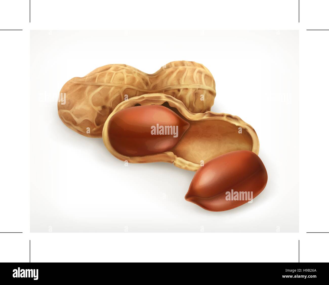 Peanuts vector vectors Banque de photographies et d’images à haute ...