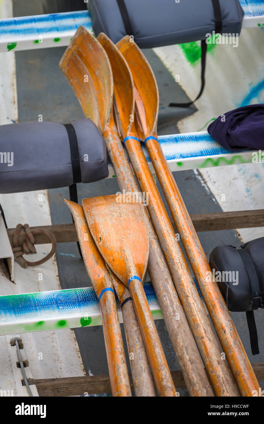 Pilot gig rowing oar Banque de photographies et d’images à haute ...