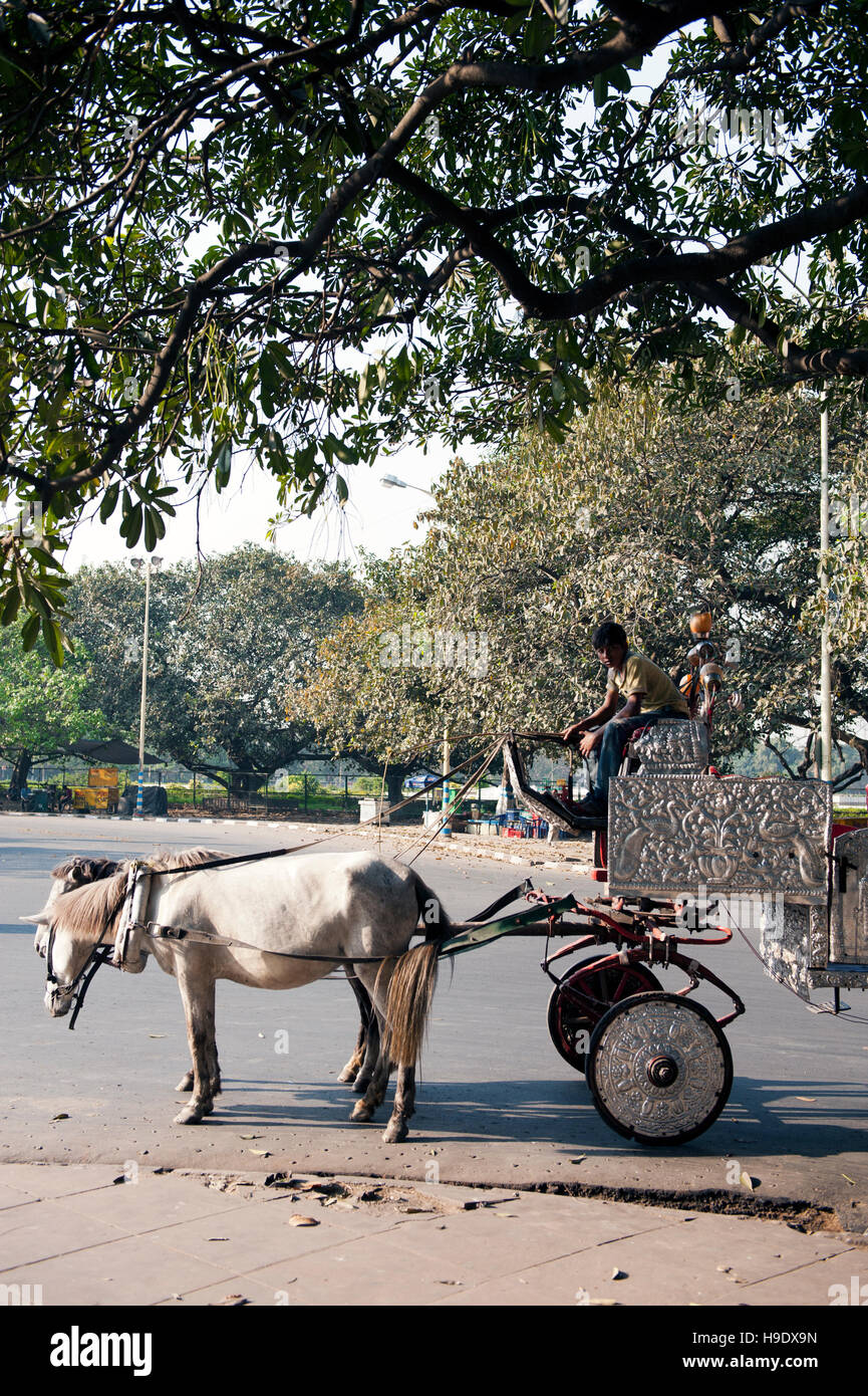 Char tiré par un cheval Banque de photographies et d’images à haute ...