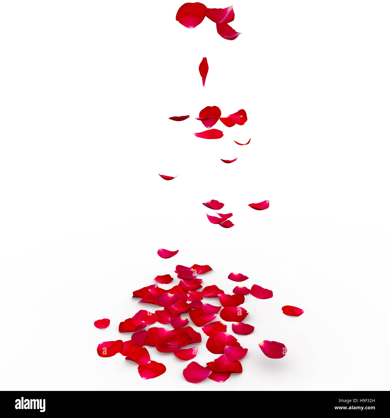 Pétales de rose rouge qui se rendent à l'étage. Contexte Isolé. 3D ...