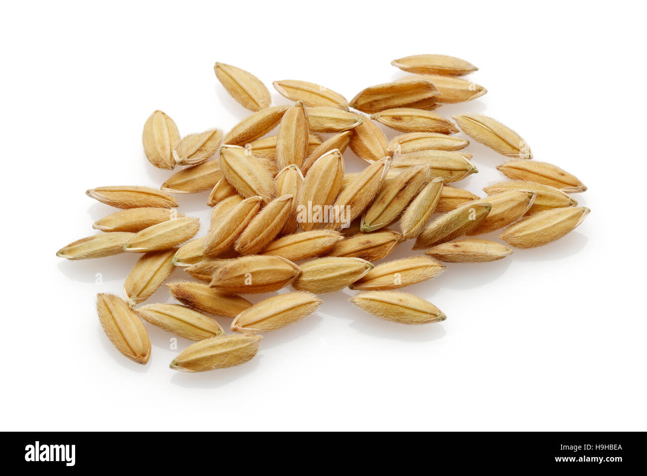 Semences de riz paddy Banque de photographies et d’images à haute ...