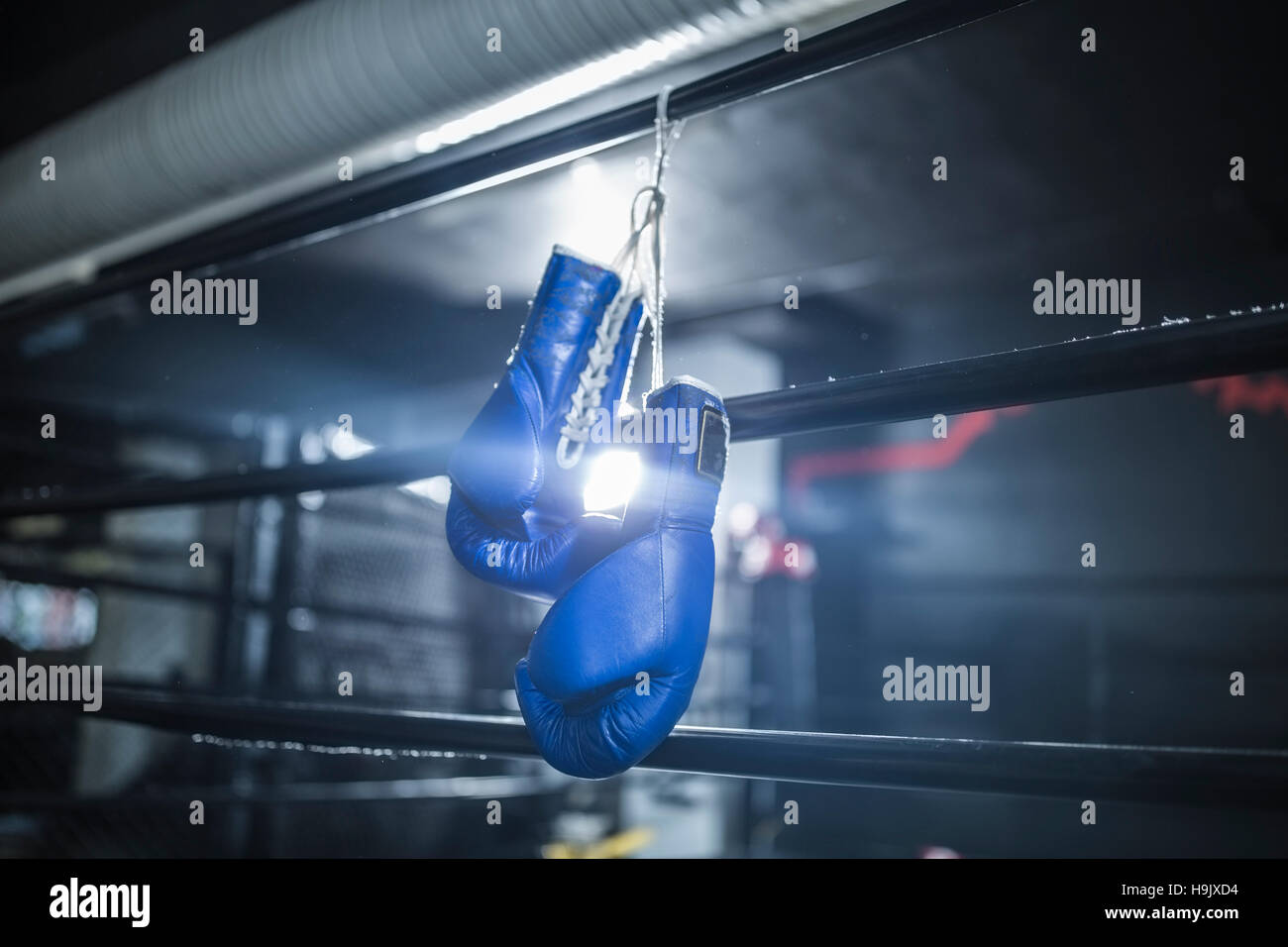 Gants de boxe en ring de boxe Photo Stock - Alamy