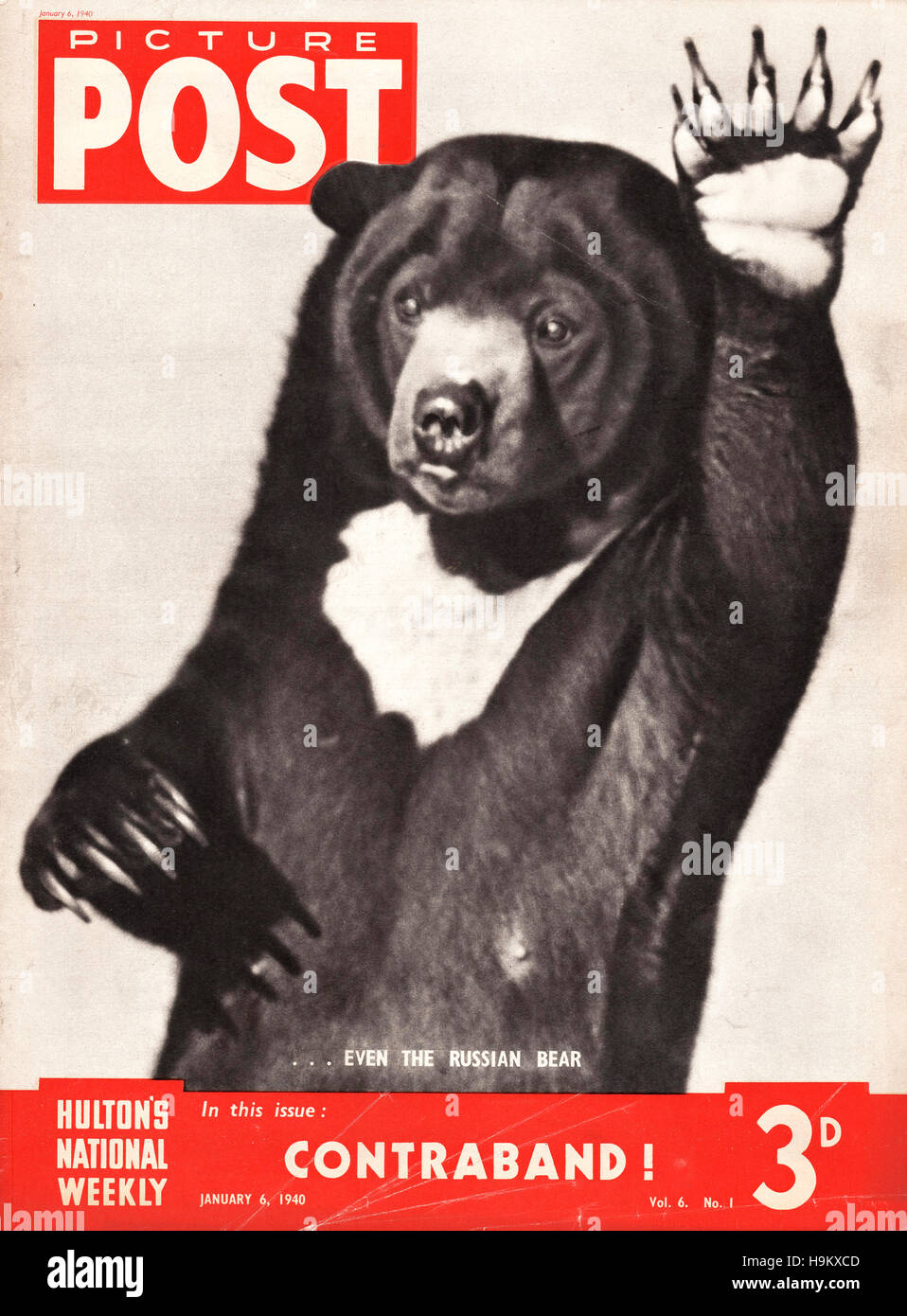 Ours Russe Banque d'image et photos - Alamy