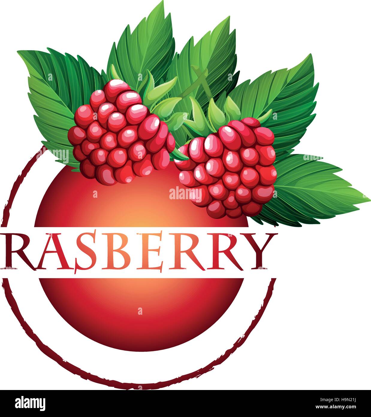 Framboise clipart Banque de photographies et d’images à haute ...