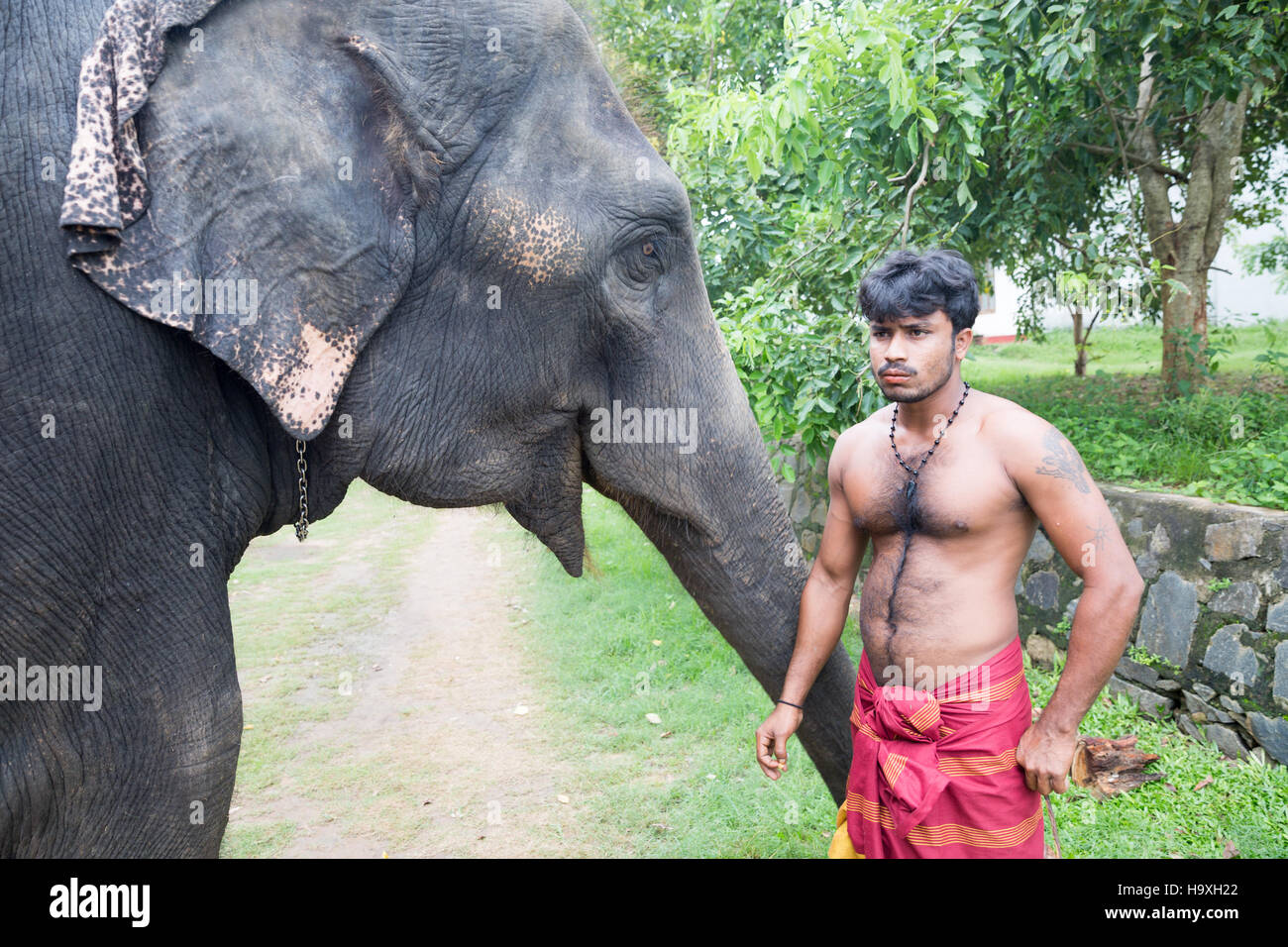 Dans Uthpalawarna Devinuwara Sri Vishnu Devalaya Matra Sri Lanka Photo ...