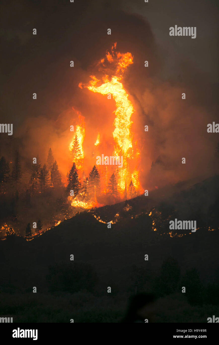 Incendies forets Banque de photographies et d’images à haute résolution ...
