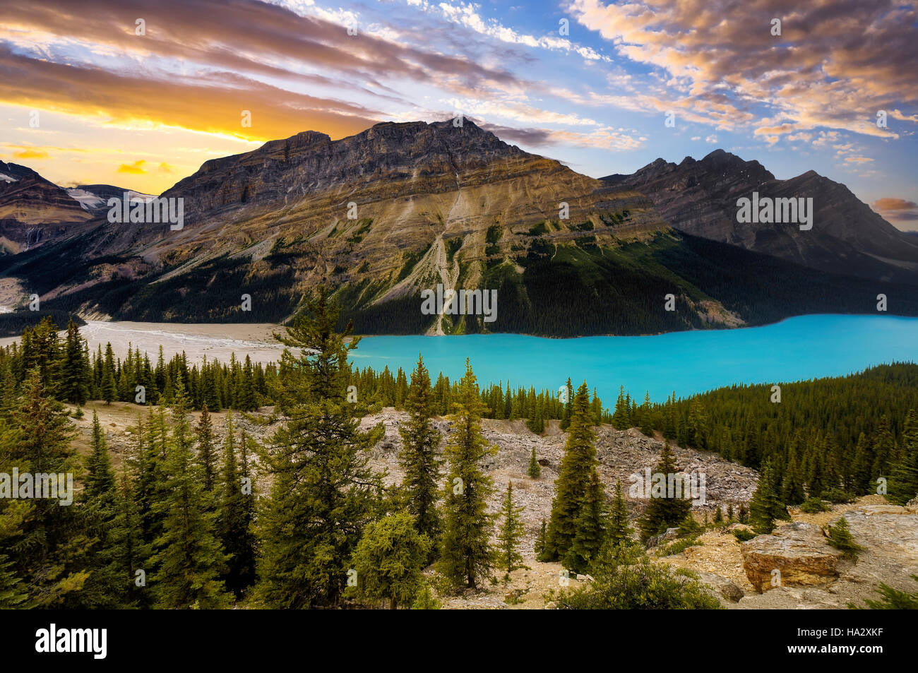Parc national du lac peyto banff Banque de photographies et d’images à ...