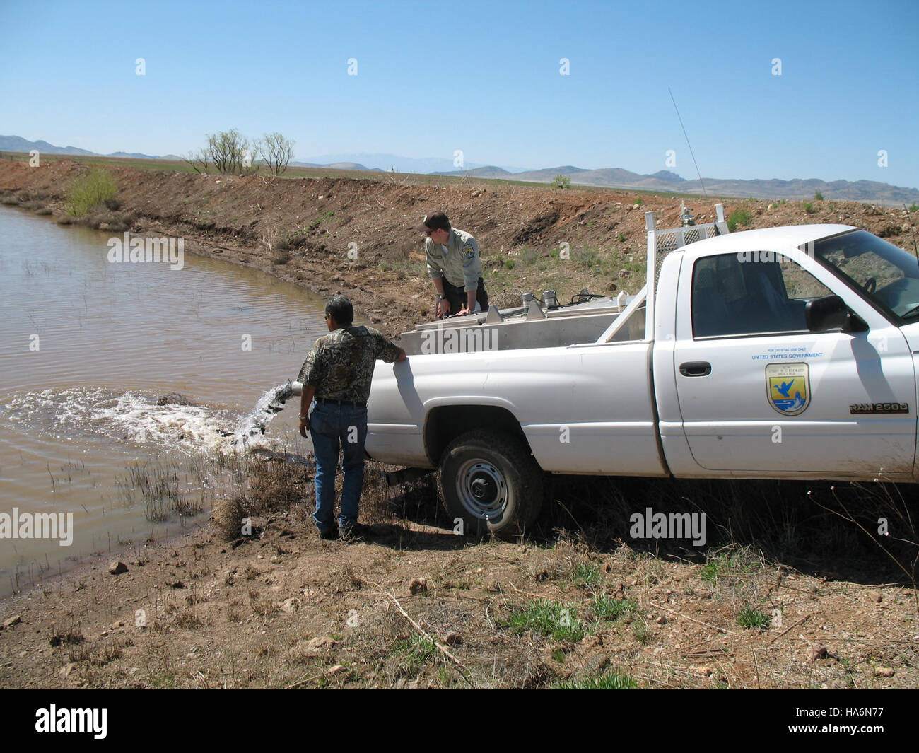 San carlos apache tribe Banque de photographies et d’images à haute ...