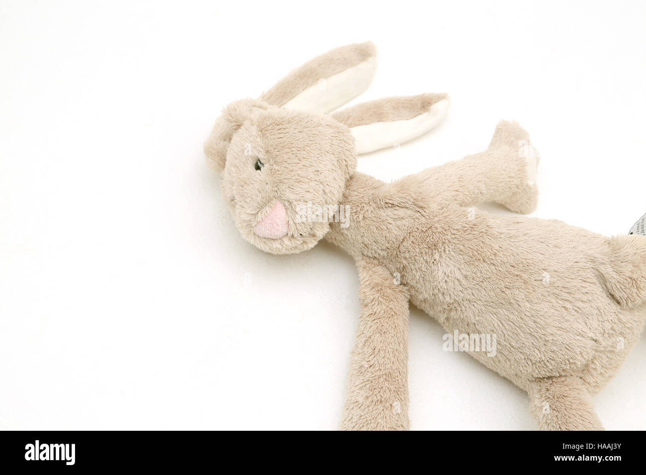 Rabbit soft cuddly toy Banque de photographies et d’images à haute ...