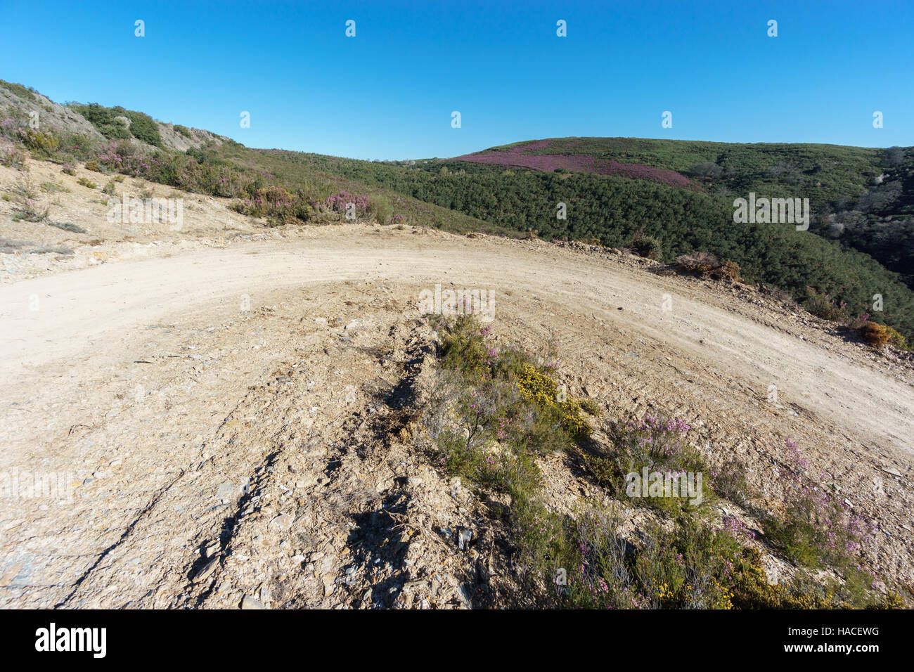 Voie au sol courbe en forme de u sauvage Banque de photographies et d ...