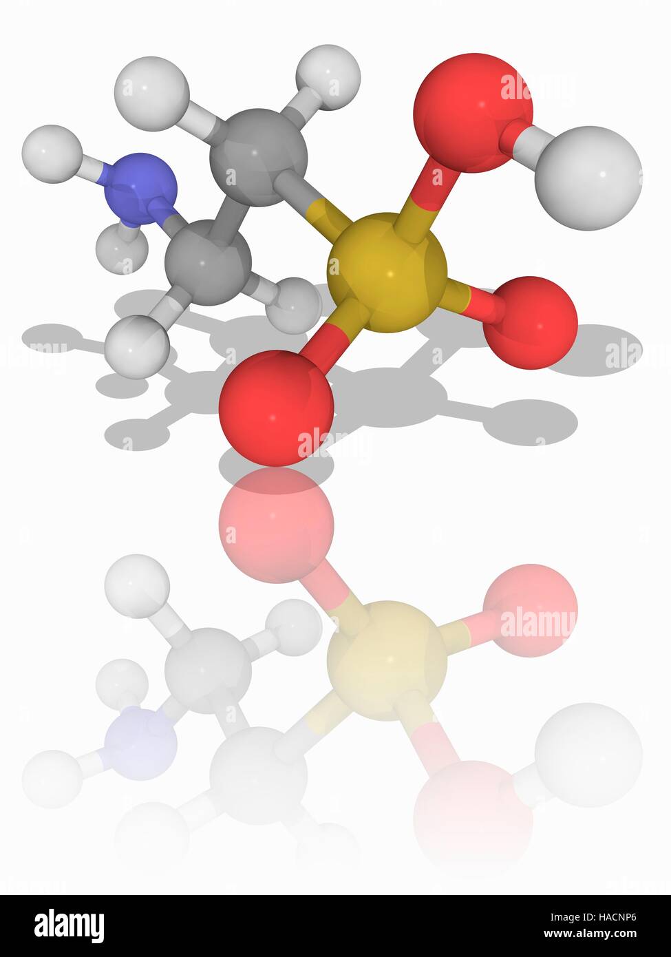La taurine. Le modèle moléculaire de l'acide organique de la taurine ...