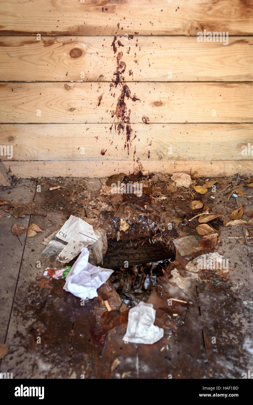 Toilettes De Fortune En Plein Air Dans Un Sale état Avec Mouchetures Dexcréments Humains Et De