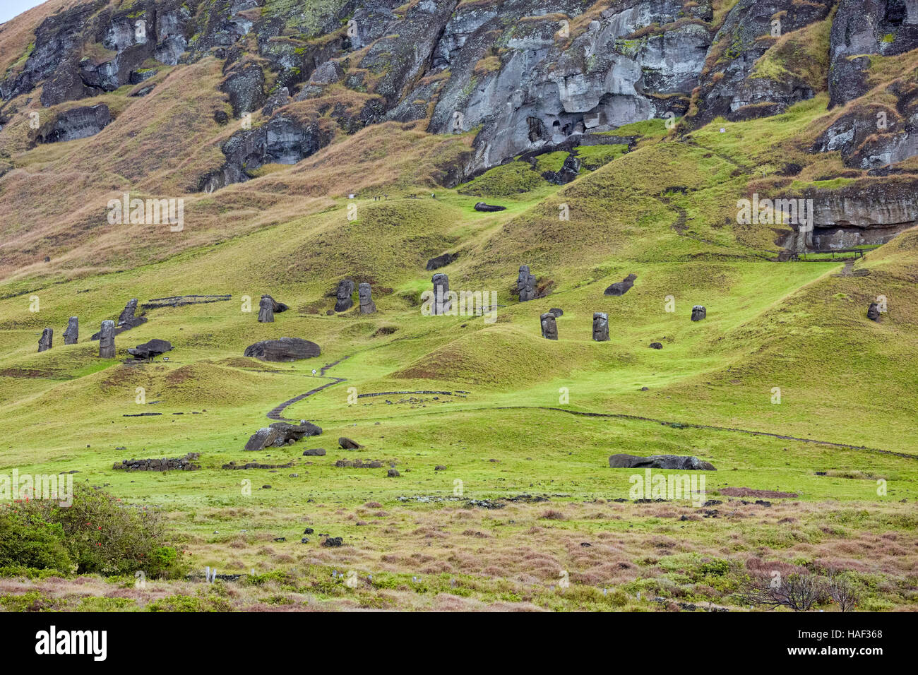 Rano raraku Banque de photographies et d’images à haute résolution - Alamy