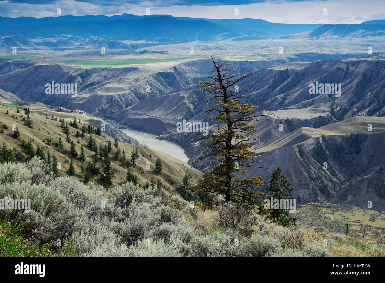 Fraser river in the cariboo region british columbia Banque de ...