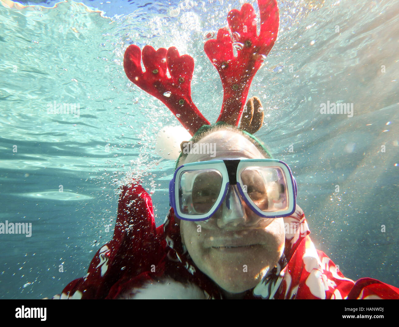 Oreilles de renne Banque de photographies et d’images à haute ...
