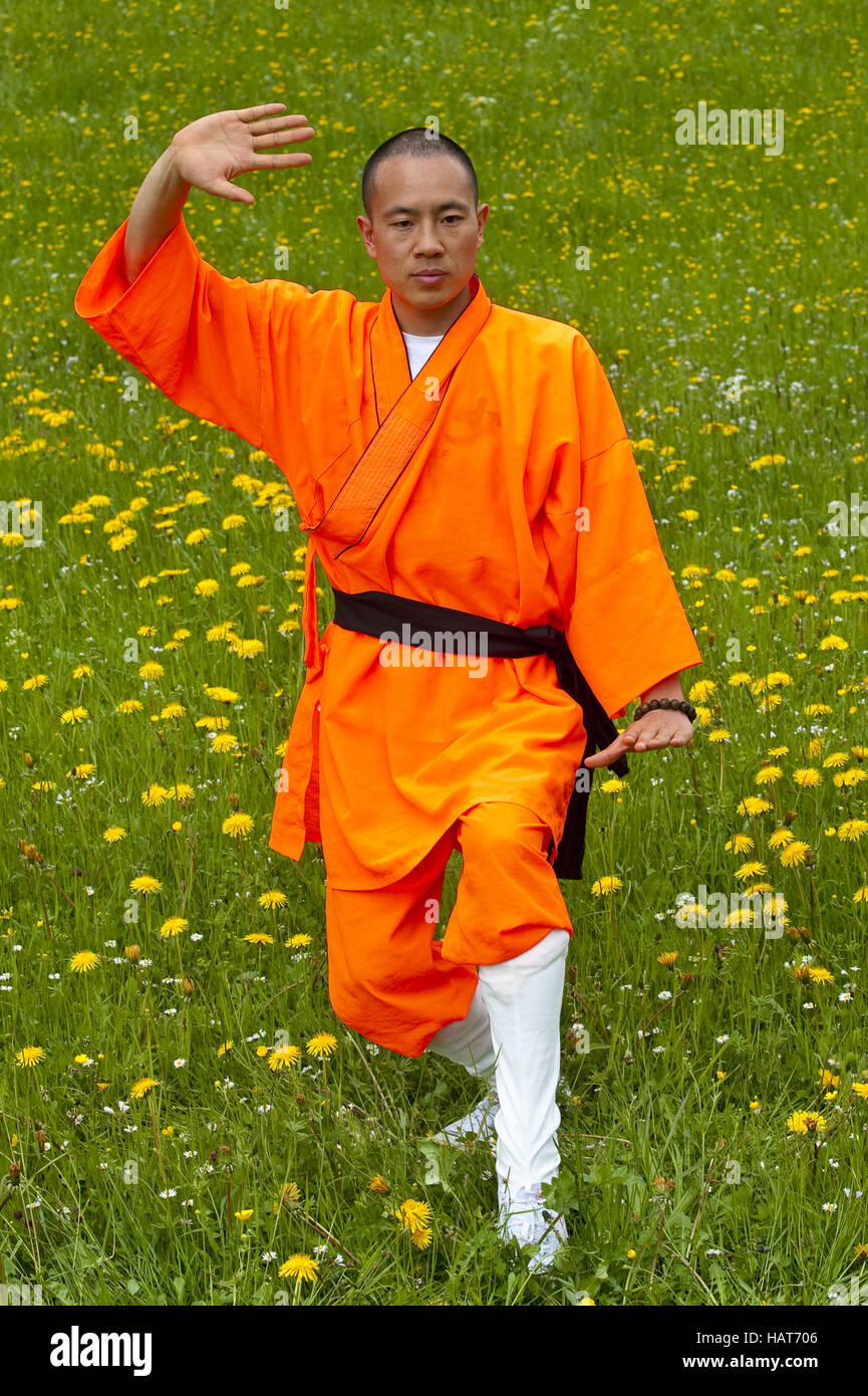Moine shaolin Banque de photographies et d’images à haute résolution ...