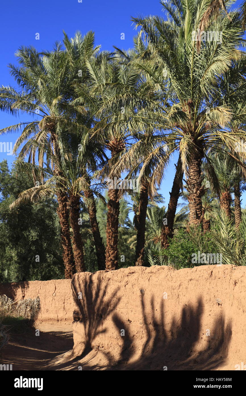 Draa river Banque de photographies et d’images à haute résolution - Alamy