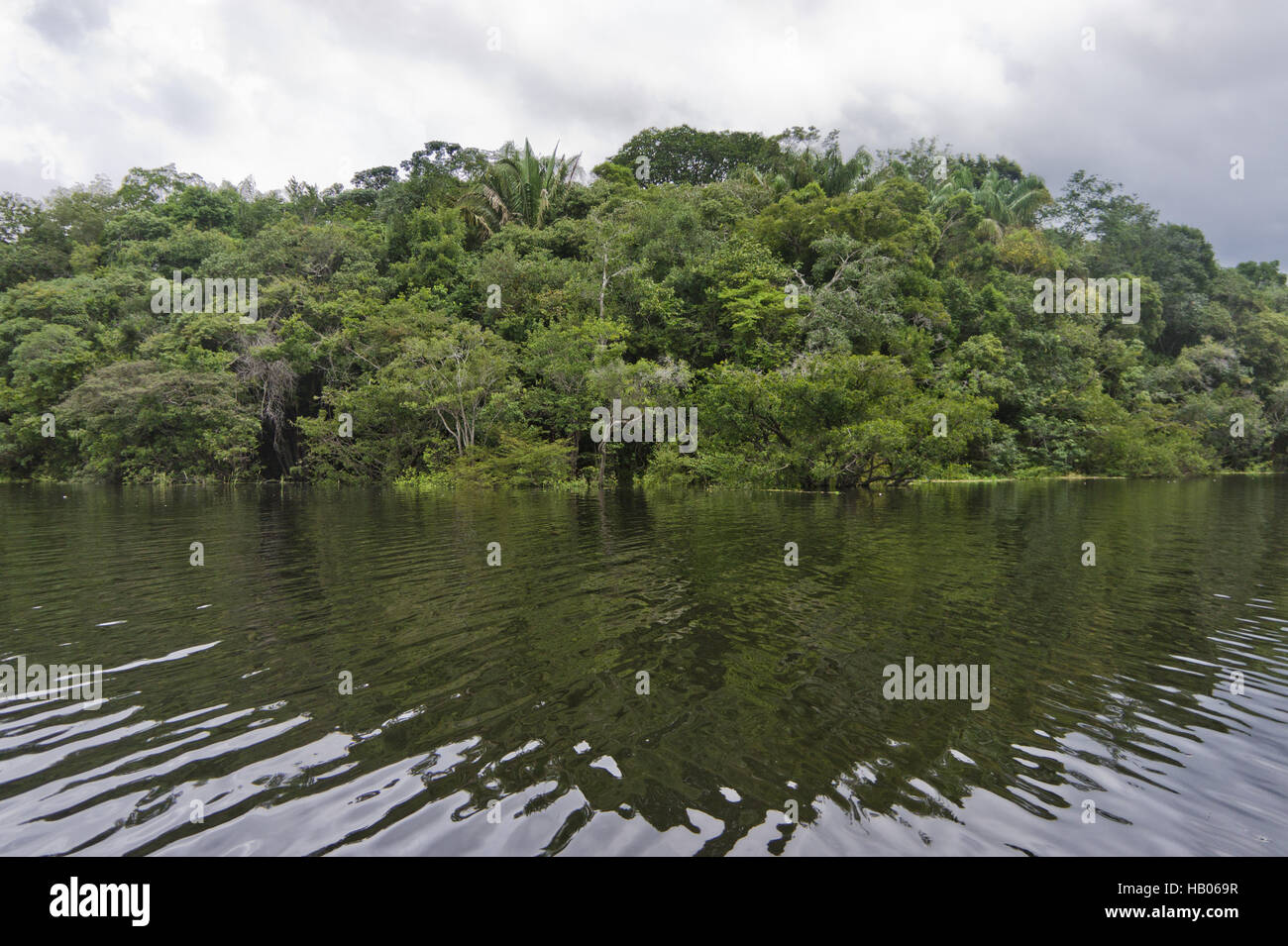 Le bassin amazonien Banque de photographies et d’images à haute ...