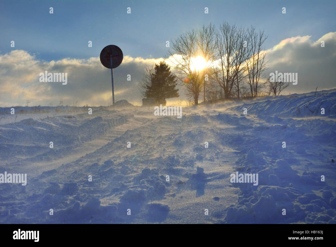 Le vent en hiver Banque de photographies et d’images à haute résolution ...
