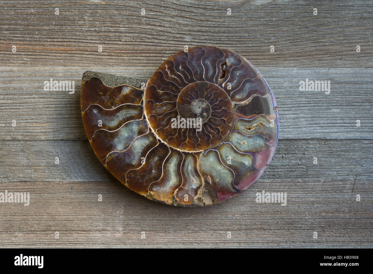 Deep sea fish fossil Banque de photographies et d’images à haute ...