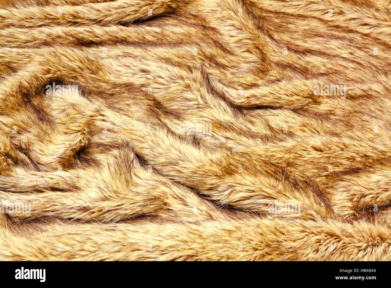Fur texture Banque de photographies et d’images à haute résolution - Alamy