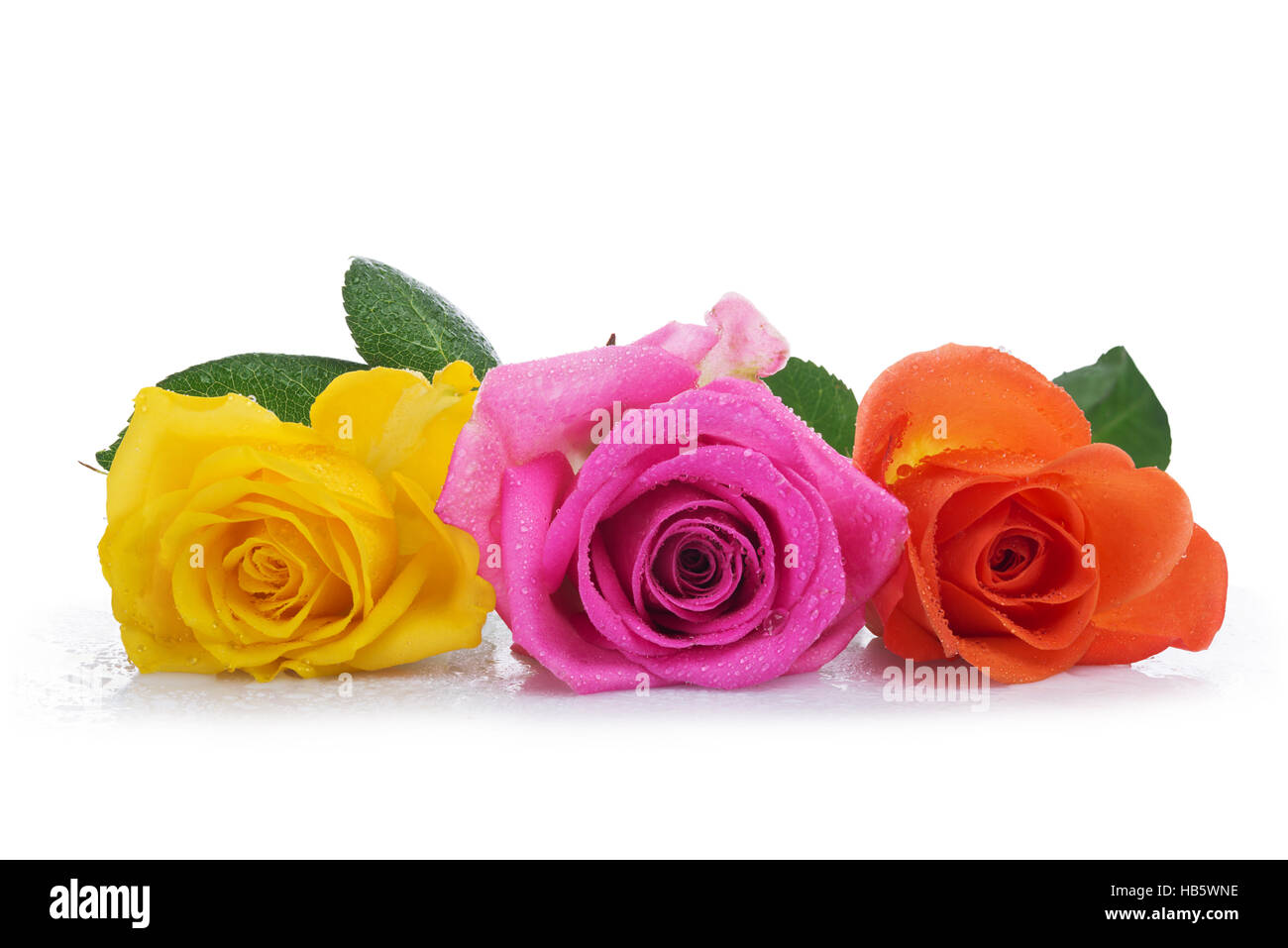 Trois roses Banque de photographies et d’images à haute résolution - Alamy