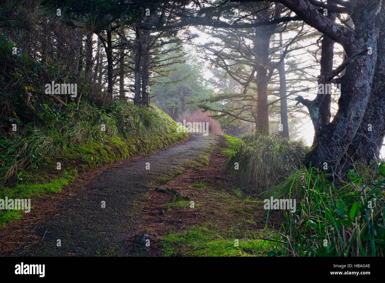 Chemin pas de pluie Banque de photographies et d’images à haute ...