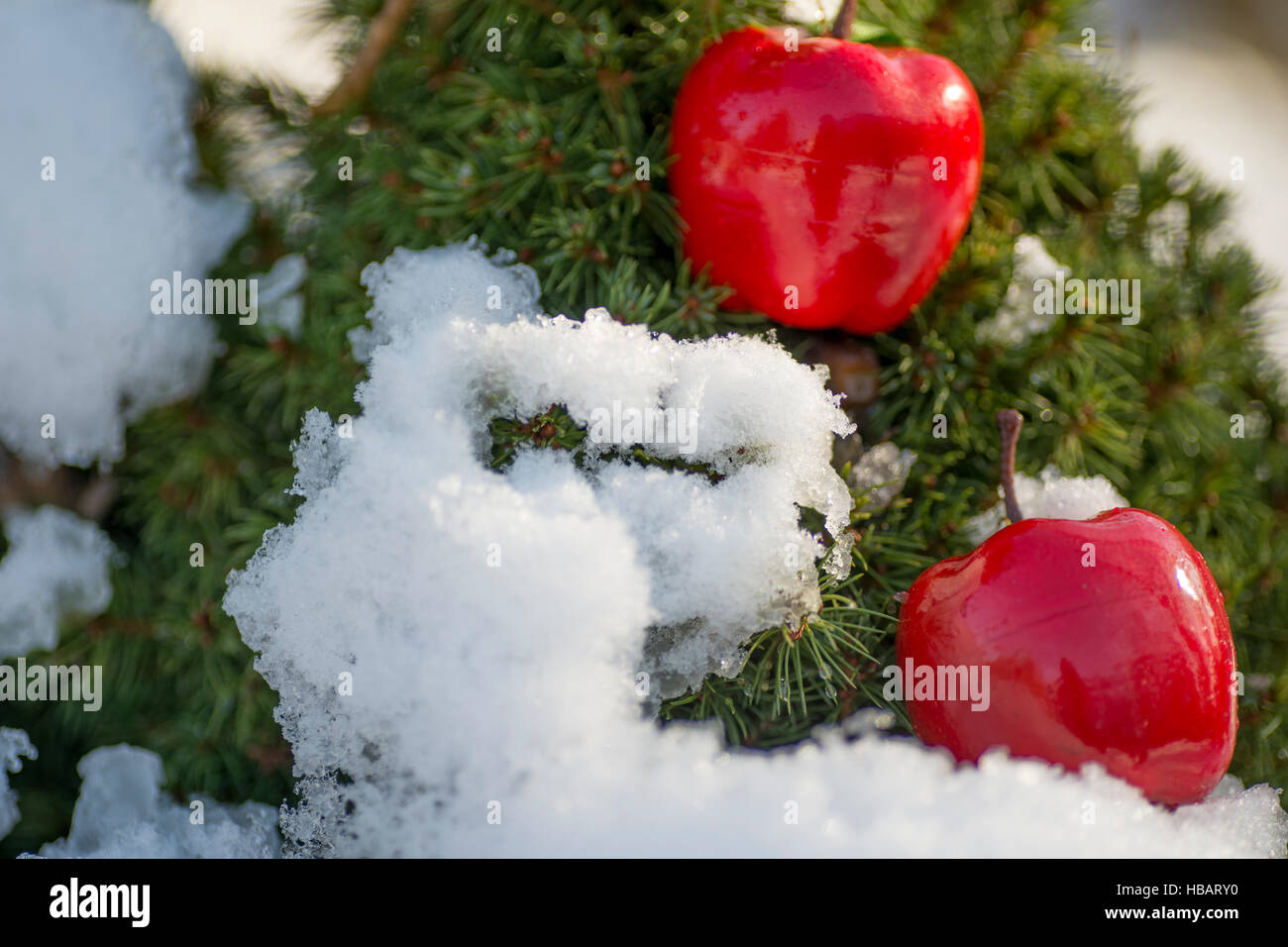 Sapin neige Banque de photographies et d’images à haute résolution - Alamy