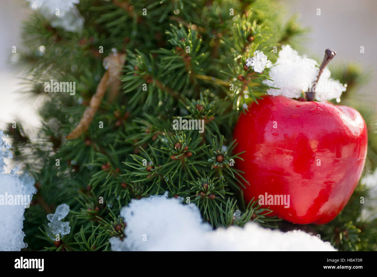 Sapin neige Banque de photographies et d’images à haute résolution - Alamy