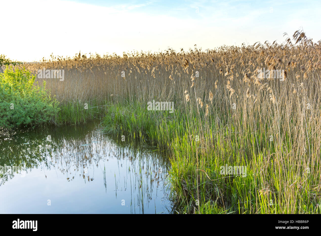 Lac dummer Banque de photographies et d’images à haute résolution - Alamy
