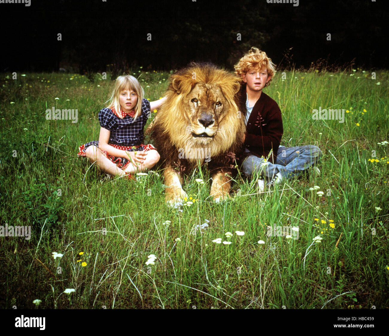 Napoléon et Samantha, Jodie Foster, Johnny Whitaker, 1972 Photo Stock ...