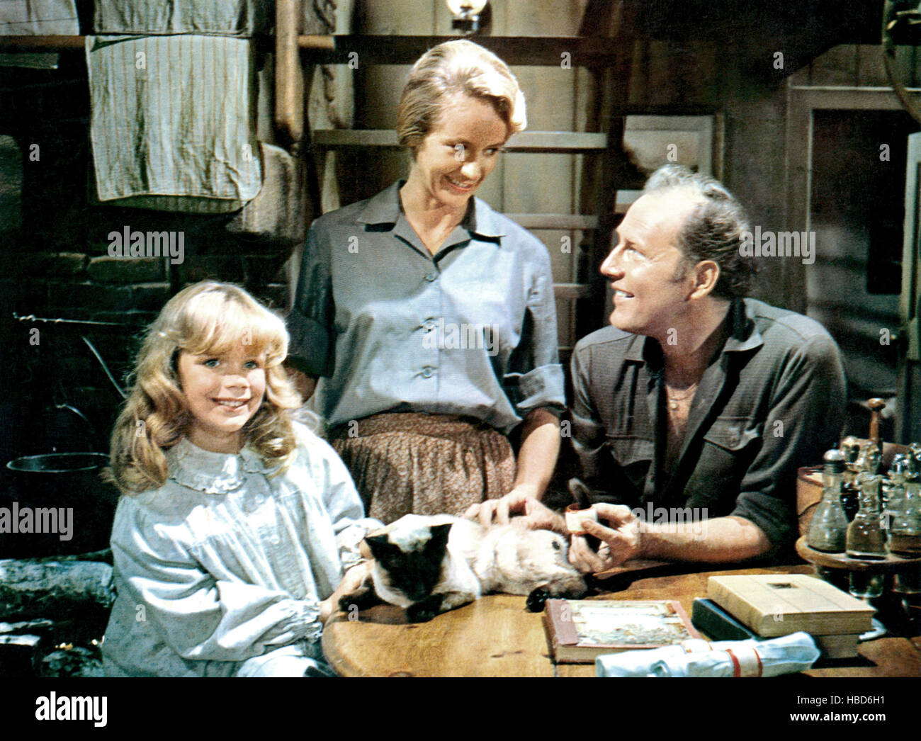 L'INCROYABLE VOYAGE, Syme Jago, Irena Mayeska, Jan Rubes, Tao le chat ...