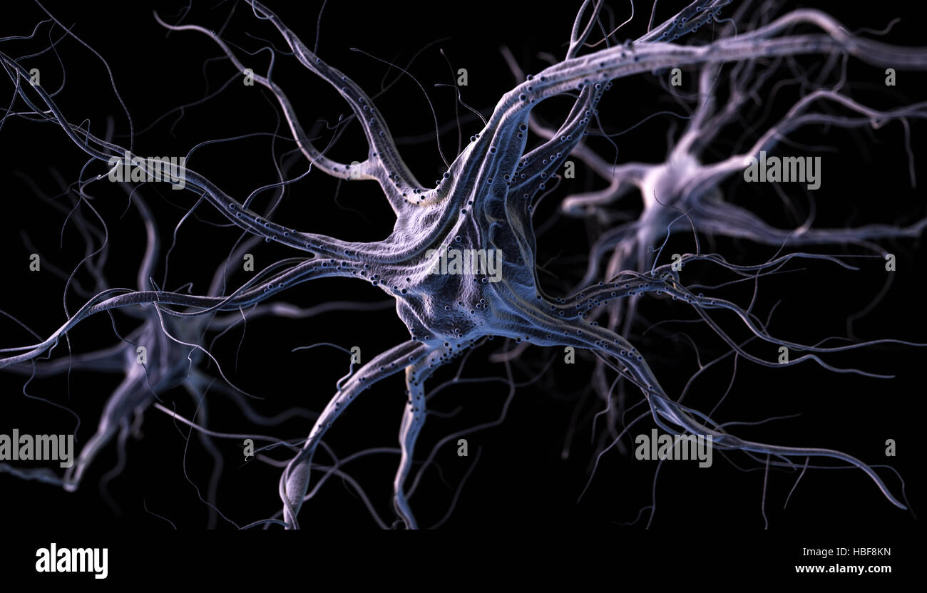 Les neurones Banque de photographies et d’images à haute résolution - Alamy