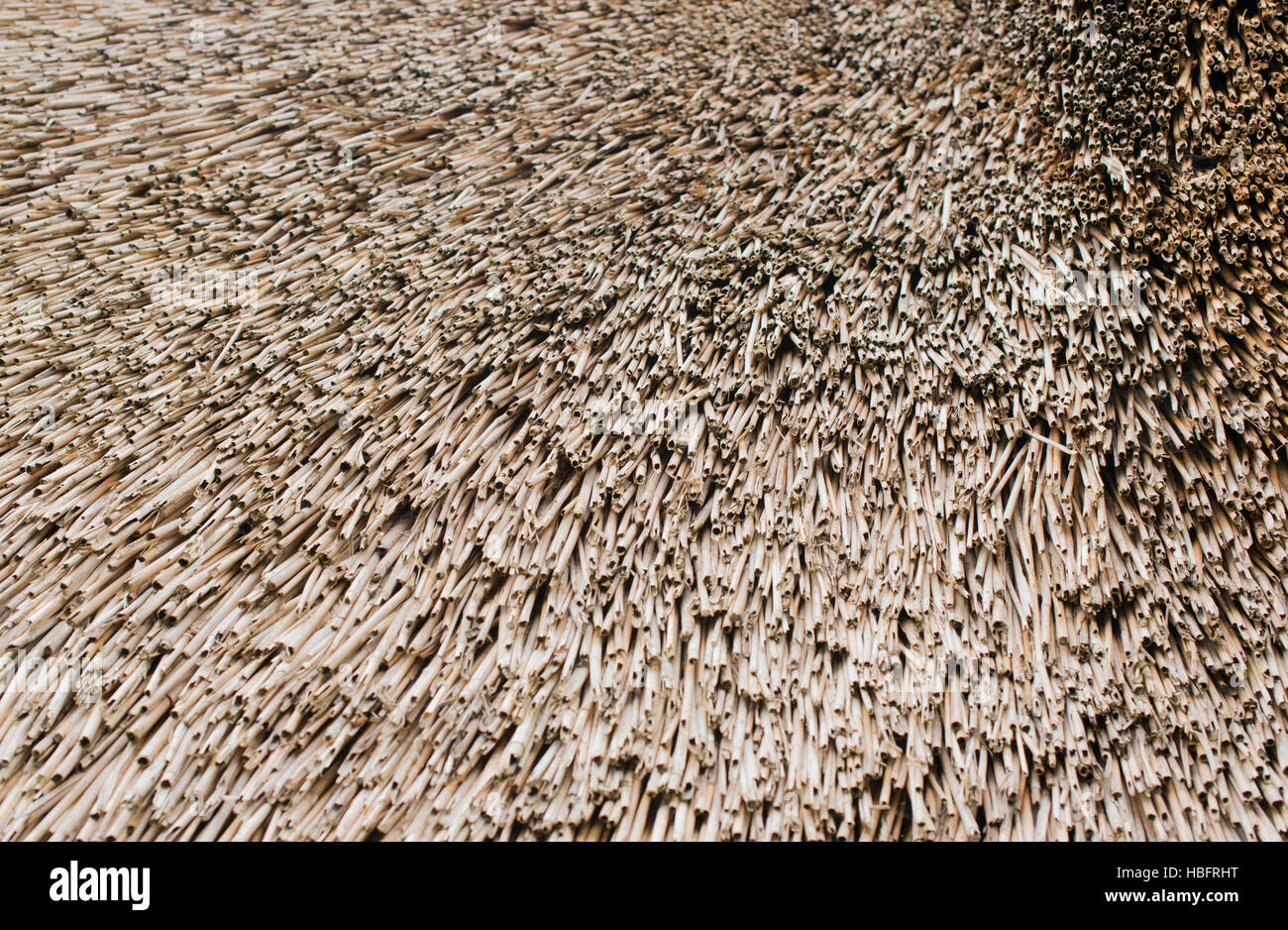 Texture de chaume Banque de photographies et d’images à haute ...