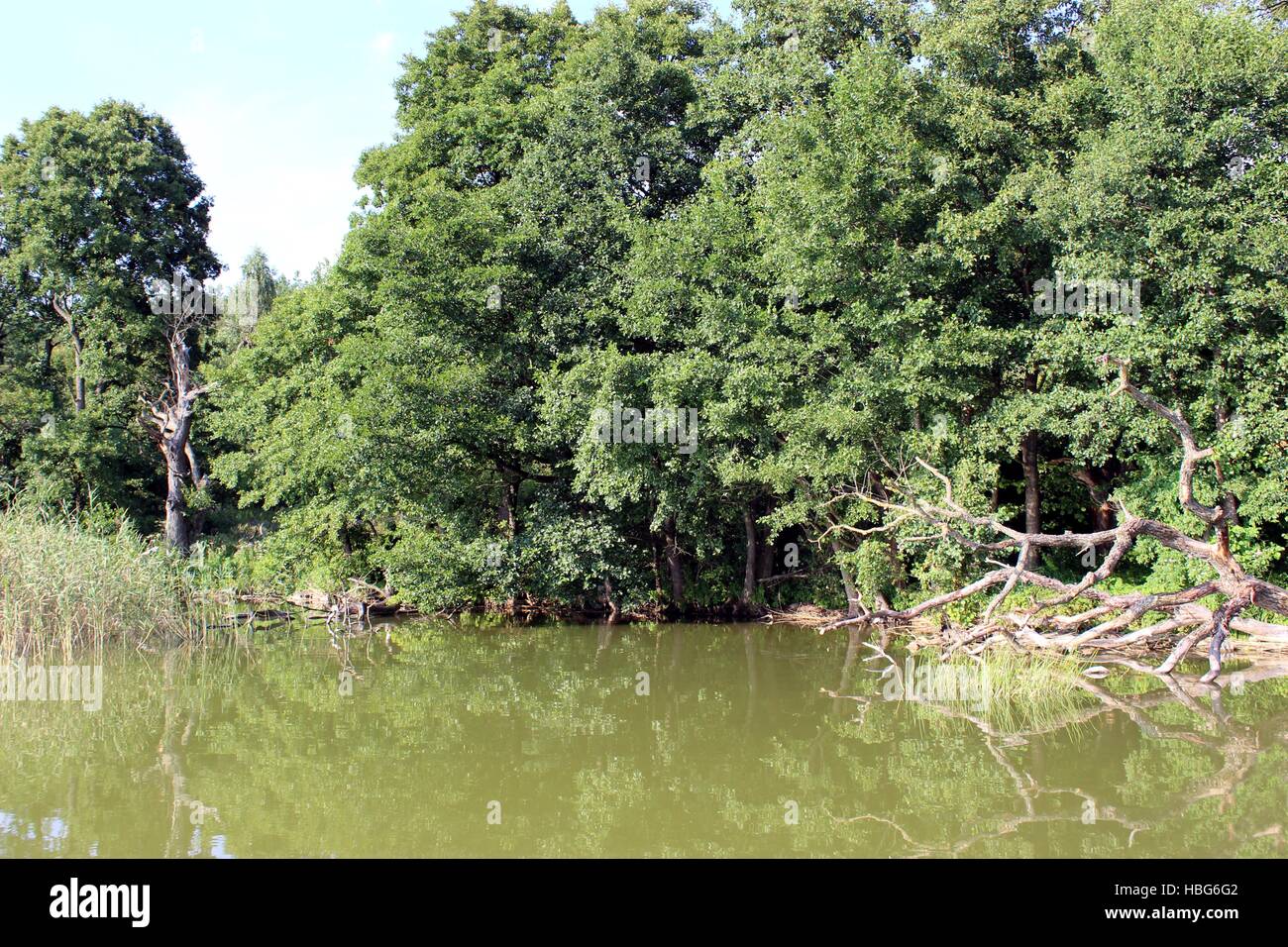 Nature paisible Banque de photographies et d’images à haute résolution - Alamy