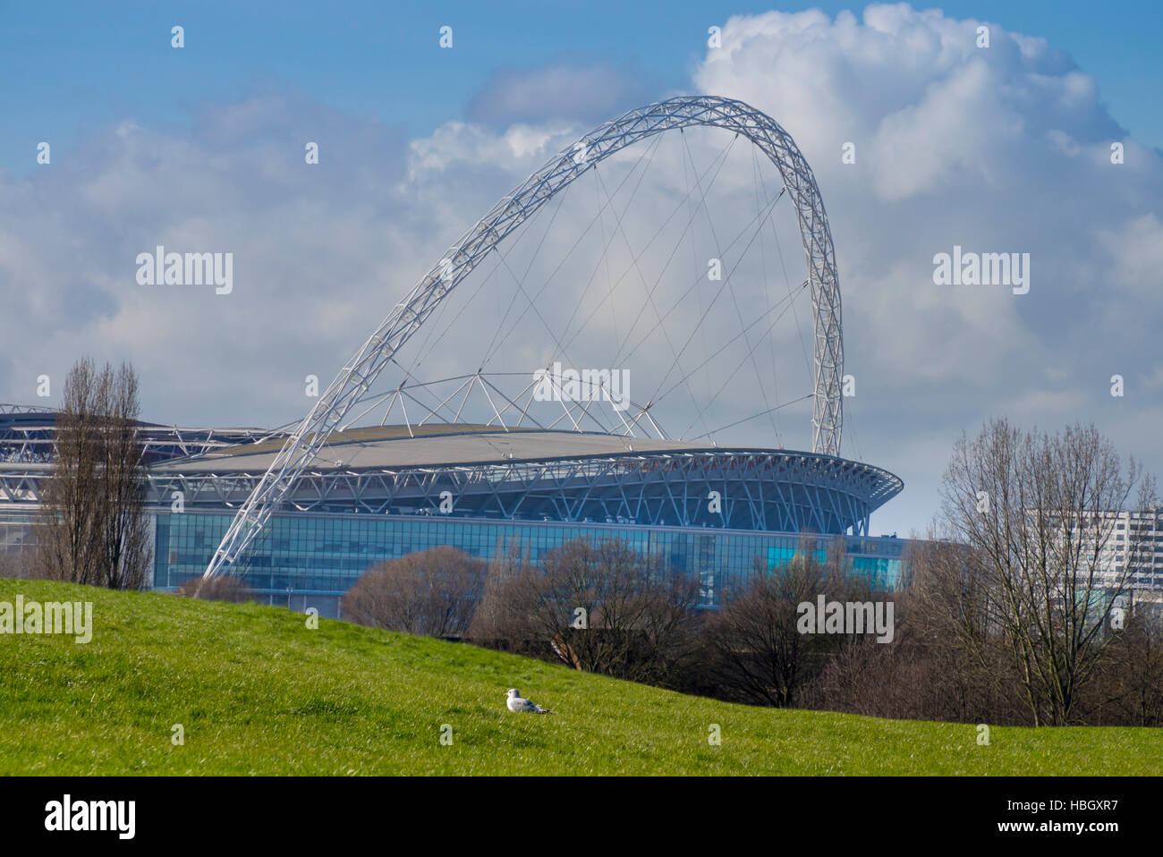 Courbe de stade Banque de photographies et d’images à haute résolution ...