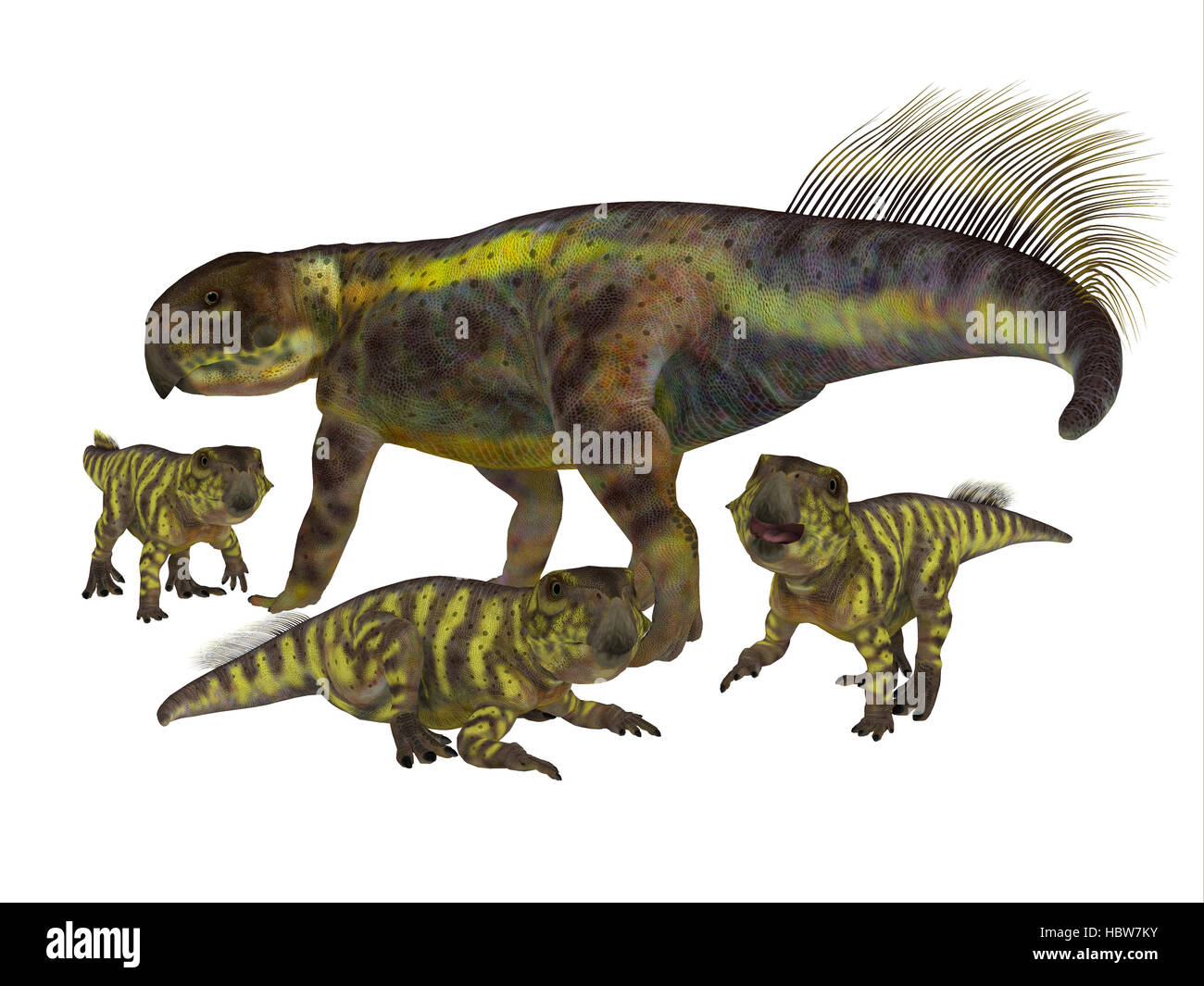 Psittacosaurus Mongoliensis Banque De Photographies Et D Images à Haute