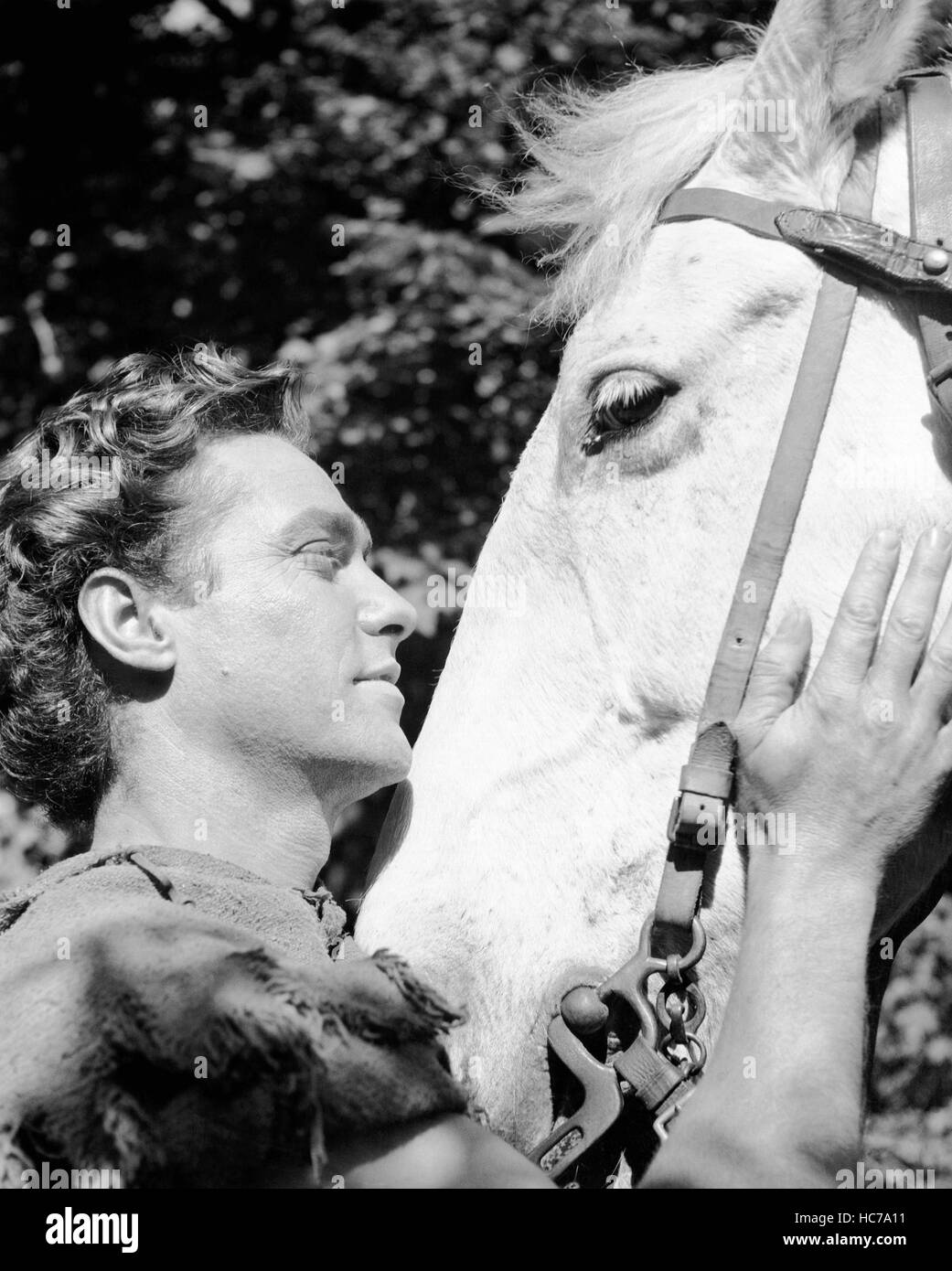 L'histoire de Robin des Bois, (alias, l'histoire de Robin des Bois ET ...