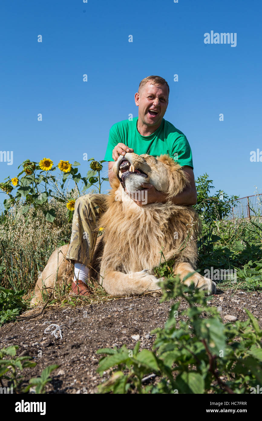 Lion et homme Banque de photographies et d’images à haute résolution ...
