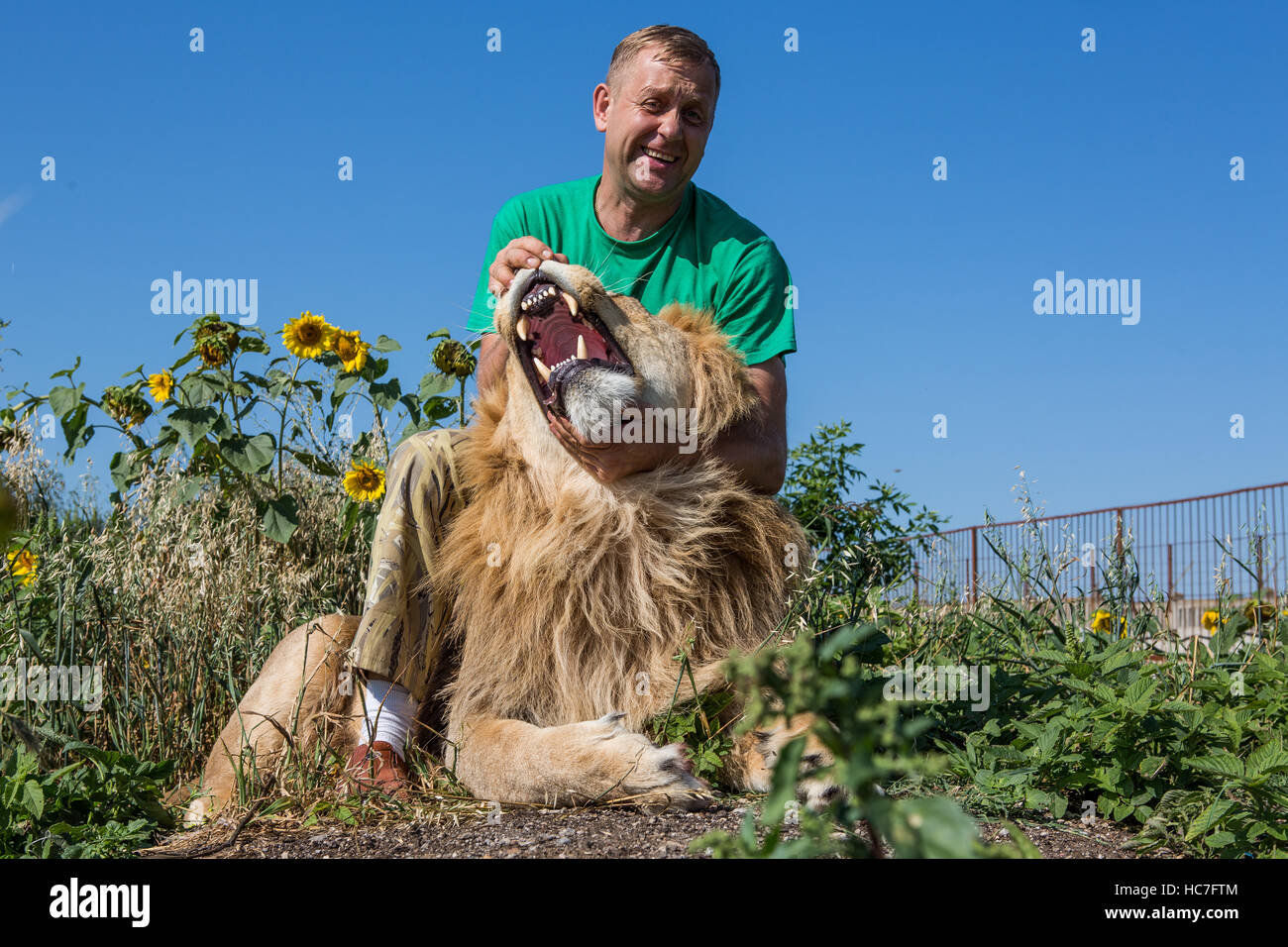 Lion et homme Banque de photographies et d’images à haute résolution ...