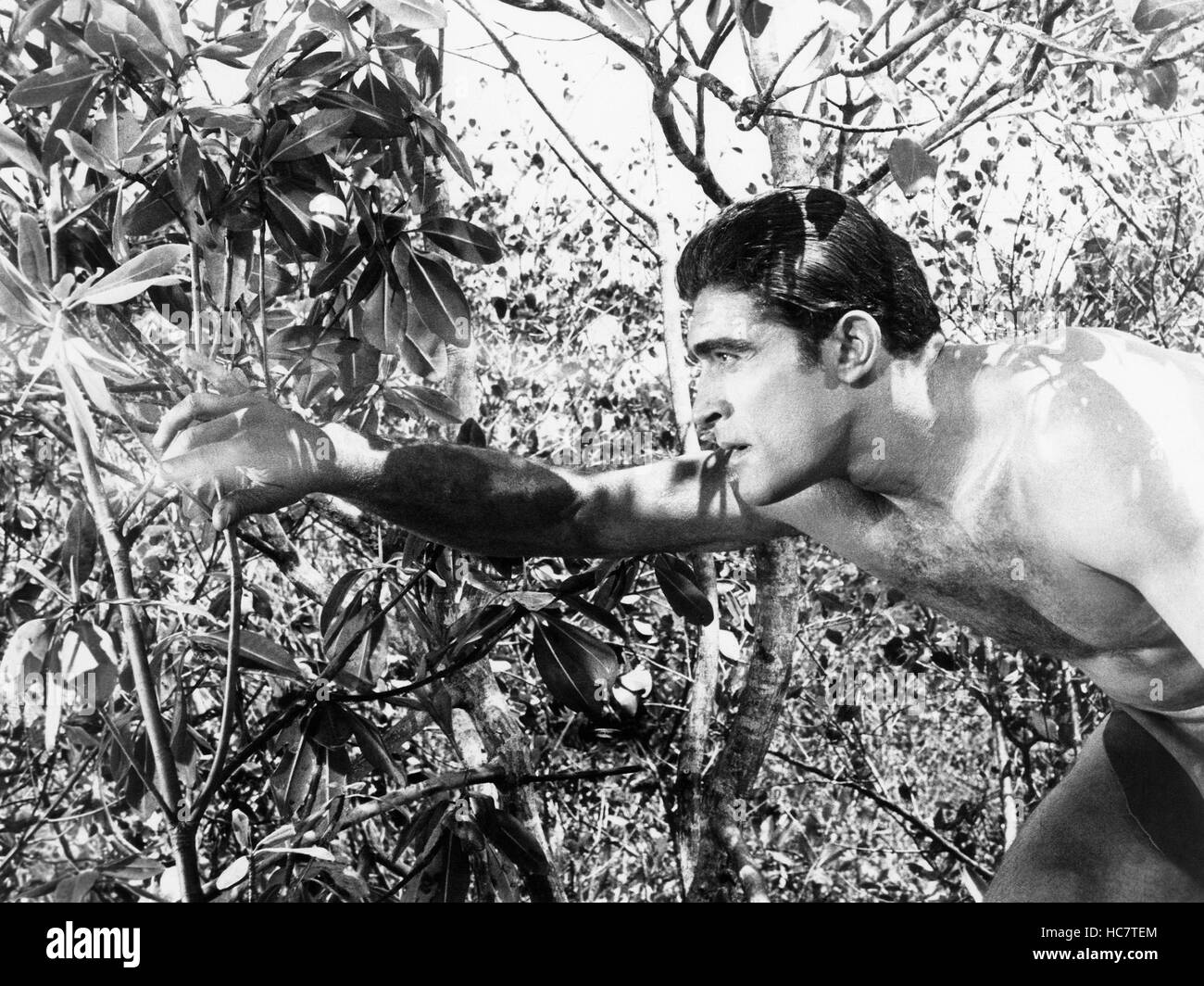 Mike henry tarzan great river Banque de photographies et d’images à ...