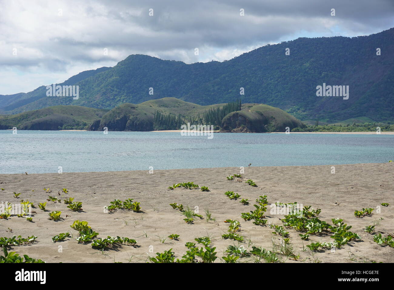 Paysages du littoral de la plage de sable de la Roche Percée de Turtle ...