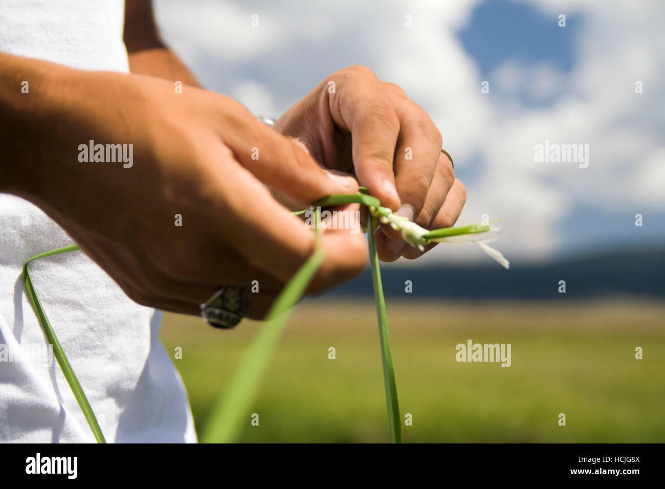 Austin silva Banque de photographies et d’images à haute résolution - Alamy