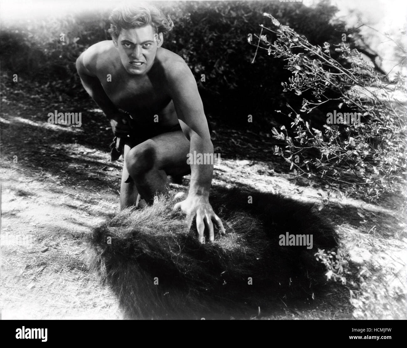 L'HOMME SINGE TARZAN, Johnny Weissmuller, 1932 Photo Stock - Alamy